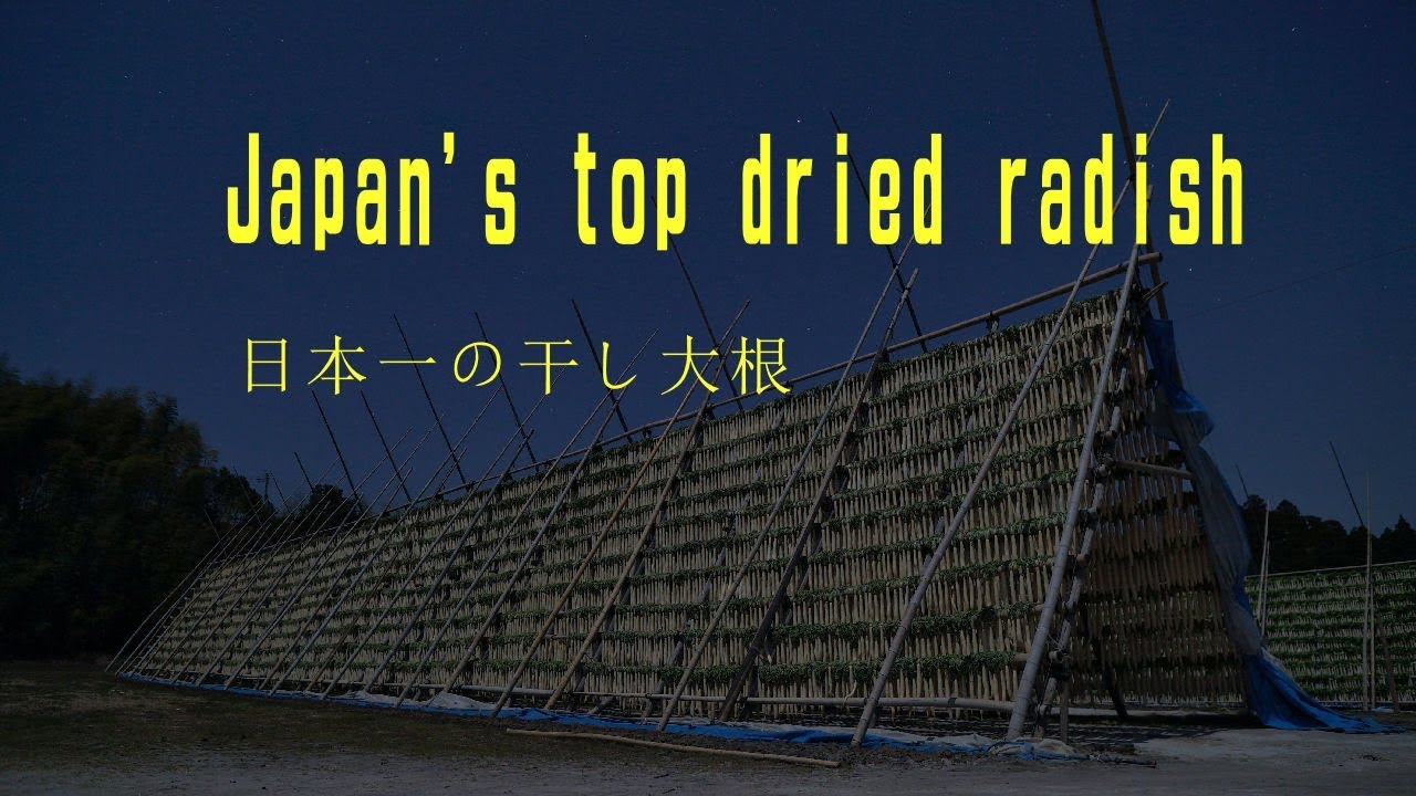 日本一の干し大根と大根やぐら 4Kドローン空撮 Japanese dried radish and Huge Tower - YouTube