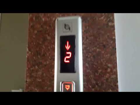 Zehra teyzemin asansörünü çektim. Dışardaki asansör bozuk. Onun katındaki zili gösterdim. Bursa