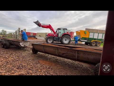 Opening Another Paddock of Maize - YouTube