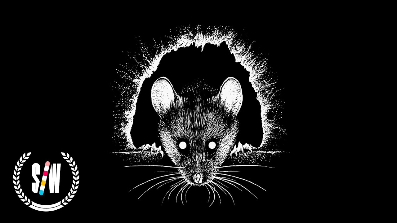 This Is Our Home | Rodent Infestation Takes Revenge | Horror Short Film ...