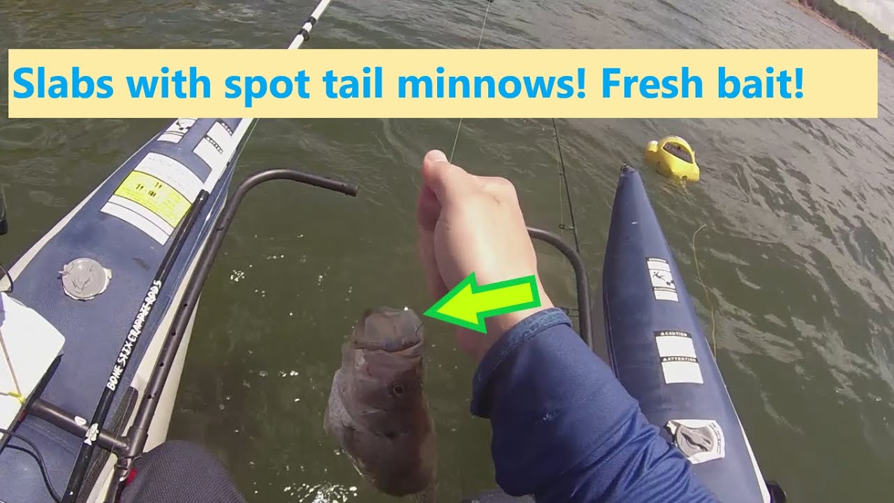 **Announcement** Plus deep water summer slabs! Crappie fishing with ...