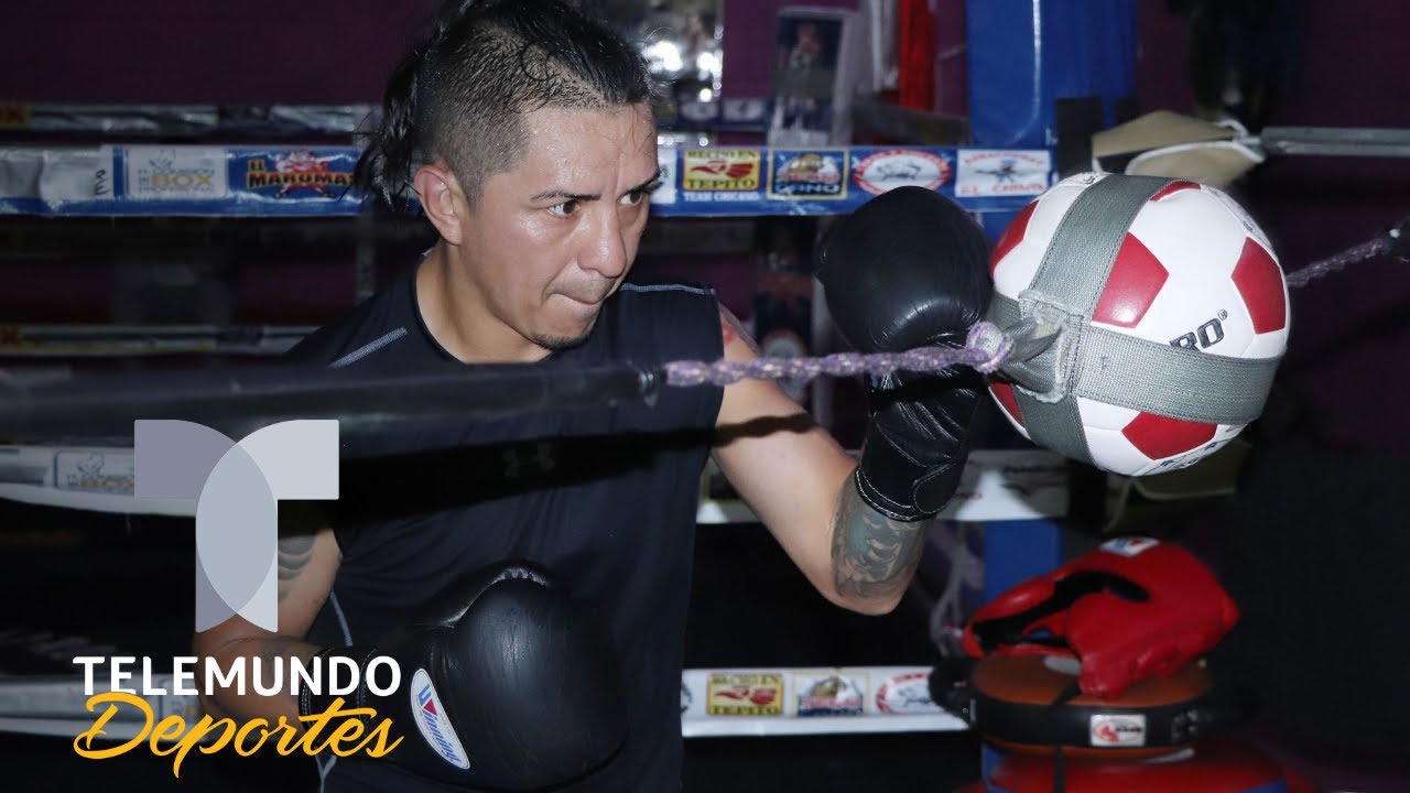 Armando Alacrán Torres: Mi sueño es ser campeón del mundo | Boxeo ...