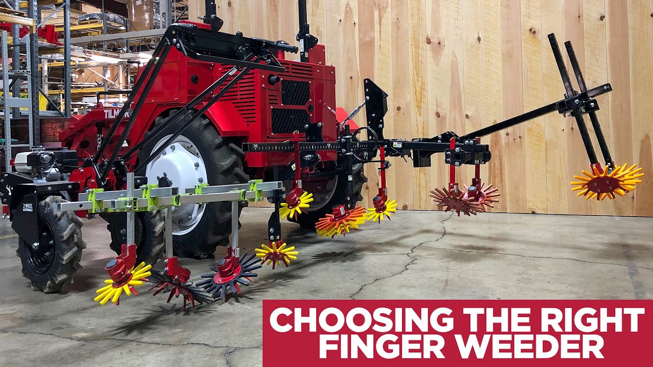 Choosing the Right Finger Weeders For Your Farm *LIVE* - YouTube