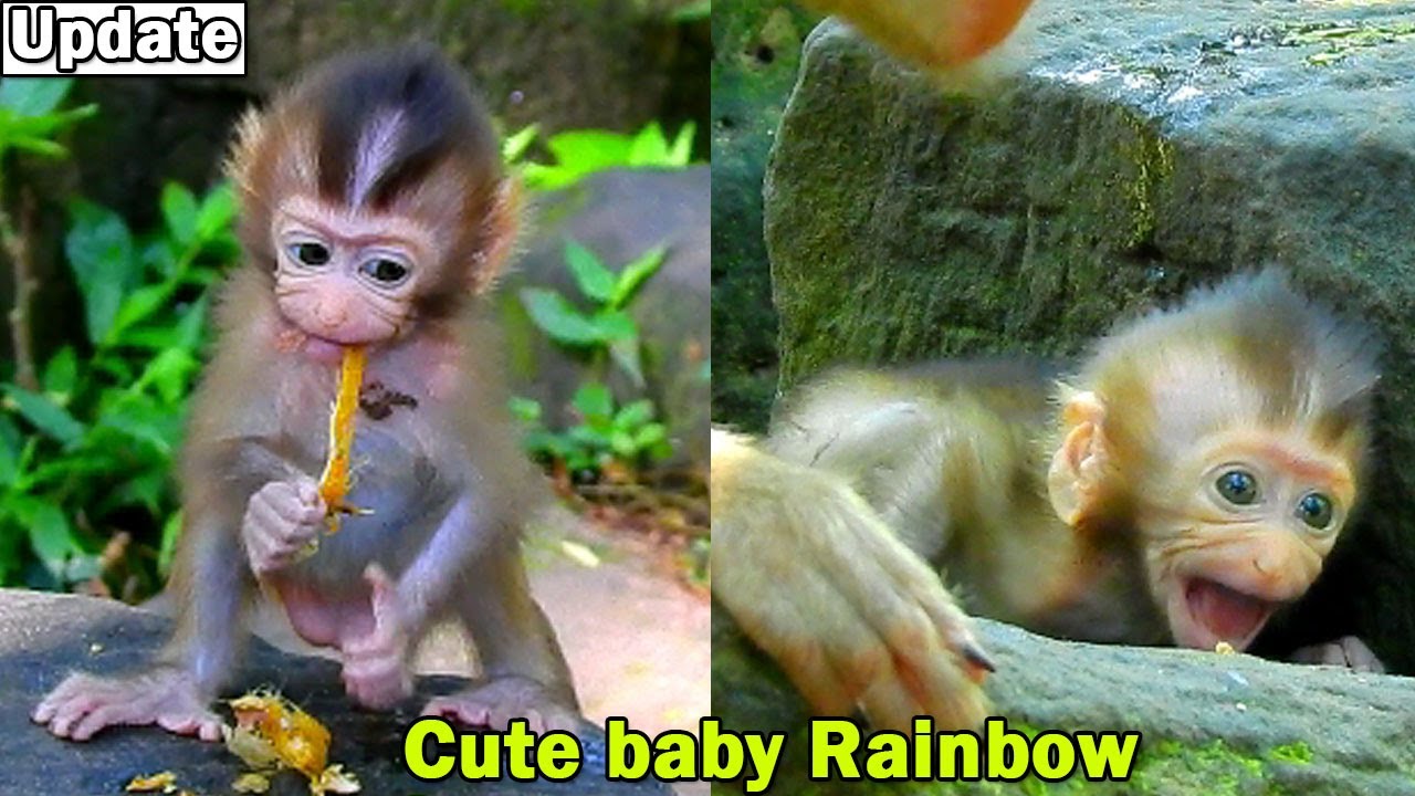 "Lovely baby Rainbow shout crying beg Libby hug her comfort" Libby n ...