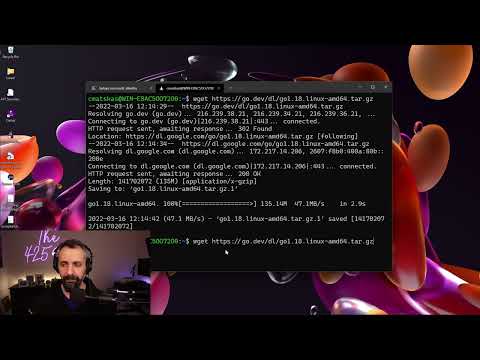 Install Go in WSL in 3 easy steps | Go 1.18 + Generics