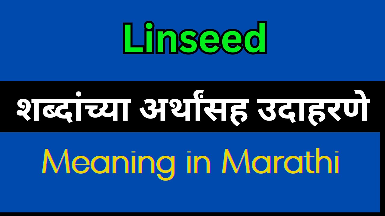 Linseed Meaning In Marathi / Linseed explained in Marathi - YouTube