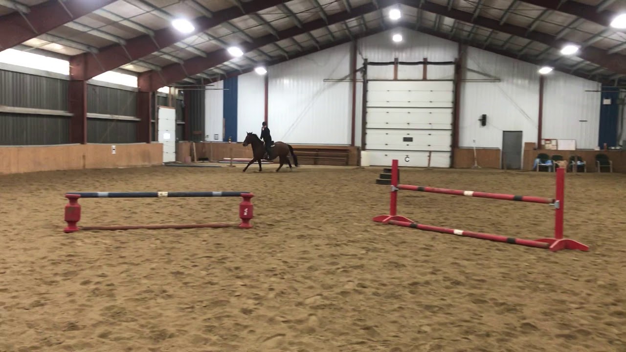 Rocky- Canter and simple changes - YouTube