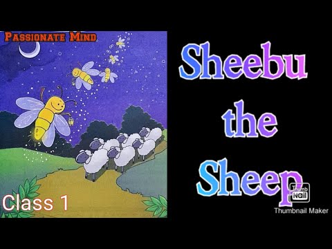Sheebu, the Sheep Chapter 9 Class 1 Collins English Alive Coursebook ...