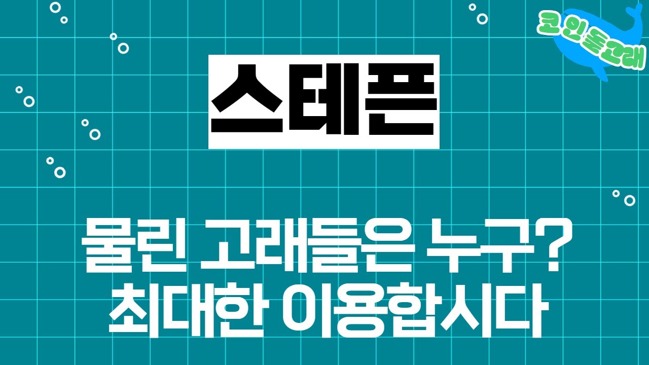 스테픈 코인 분석 물린 고래들은 누구 최대한 이용합시다 스테픈 스테픈코인전망 스테픈코인분석 Youtube