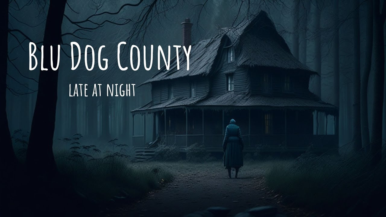 Blu Dog County - late at night - If people are staring at your house at ...