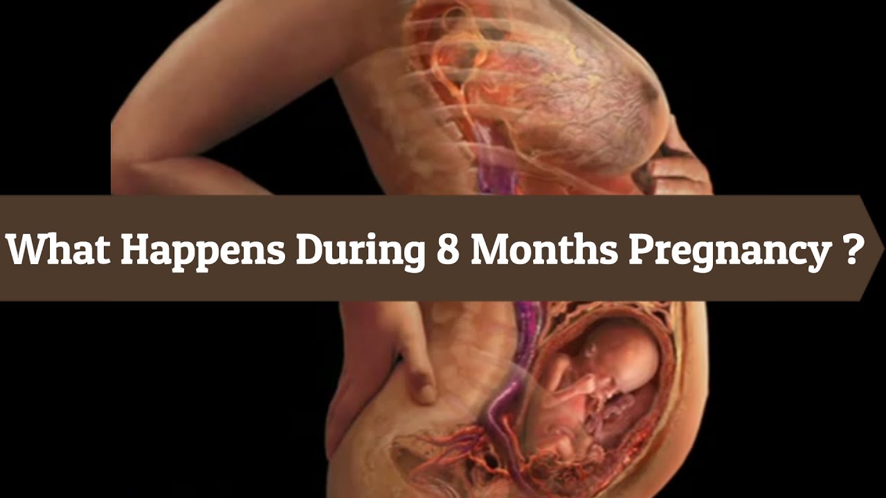 8 Months Pregnancy And Baby s Development In 8 Month Pregnancy Month By 8-months-pregnancy-and-baby-s-development-in-8-month-pregnancy-month-by