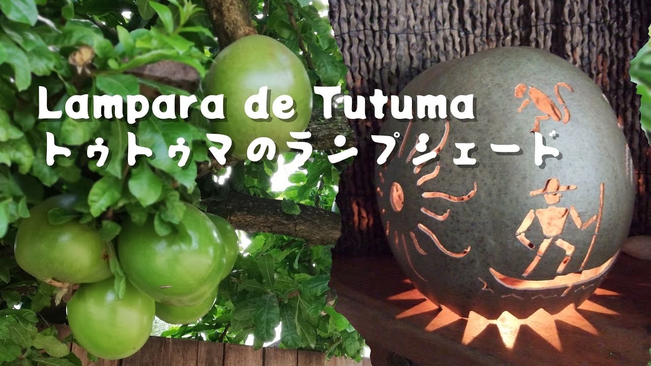 【メイキング】トゥトゥマのランプシェード / Lampara de Tutuma - YouTube