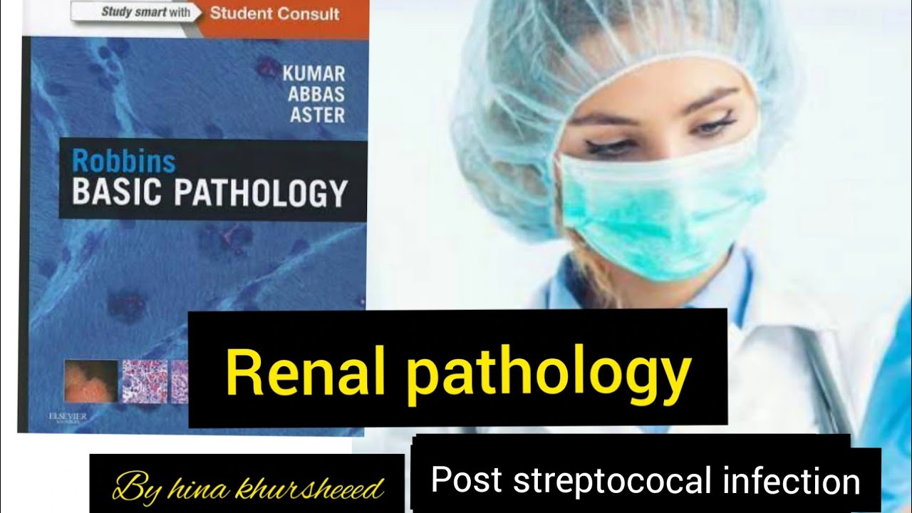 Renal pathology part 5|post infection glomerulonephritis ...