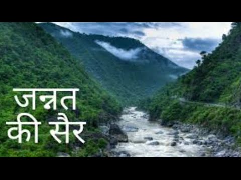 Nainital amritpur full enjoy with family #viral #youtubeshorts # ...