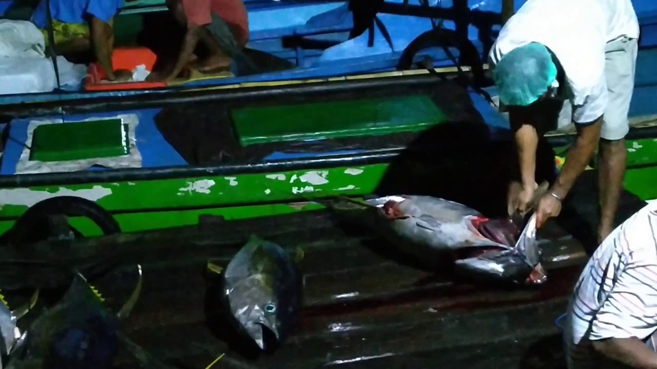 Nelayan ikan tuna - YouTube