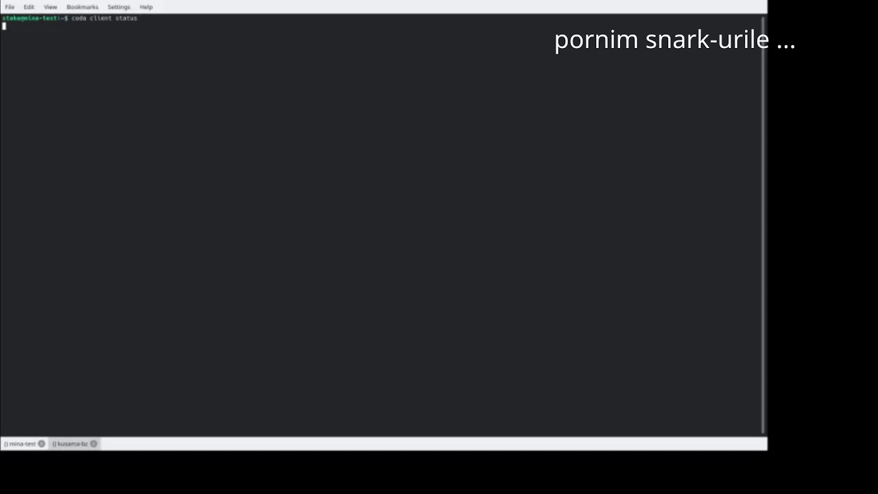 Mina node overview - YouTube