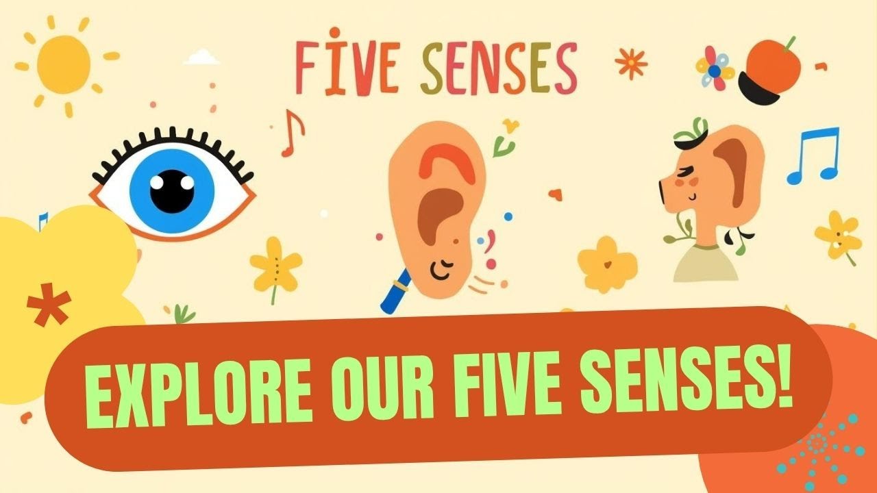 Let’s Explore Our Five Senses! | Fun Learning for Kids - YouTube