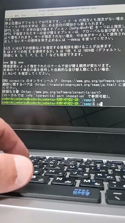 sortコマンドでファイルの中身を並び替え〜リナックスコマンドを叩く〜 #coderdojo #command #excel #linuxcommandlinetutorial # ...