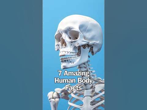 Amazing Science - 7 Human Body Facts #shorts - YouTube