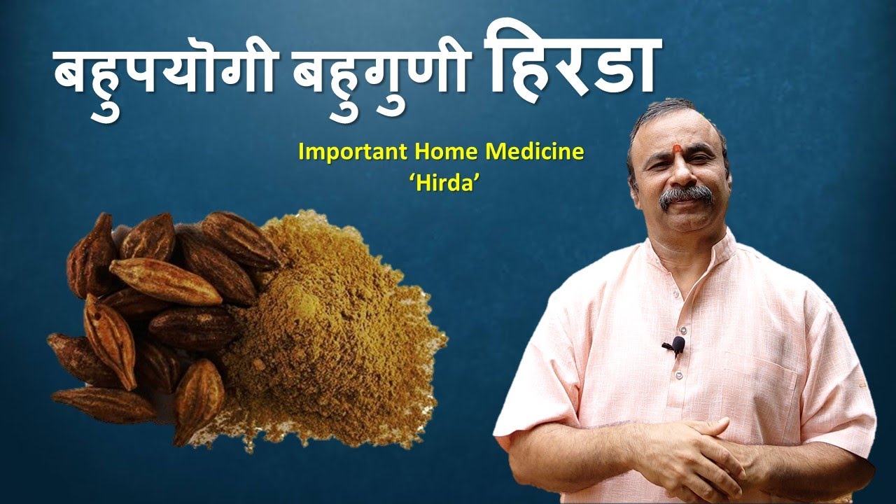 बहुपयॊगी बहुगुणी हिरडा / Health Benefits of 'Hirda' / दामले उवाच 381 ...