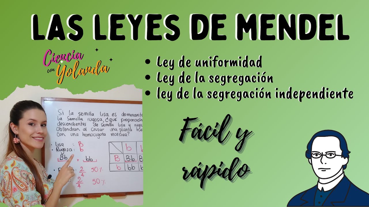 LAS LEYES DE MENDEL. Fácil y rápido. Explicación clara y sencilla para ...