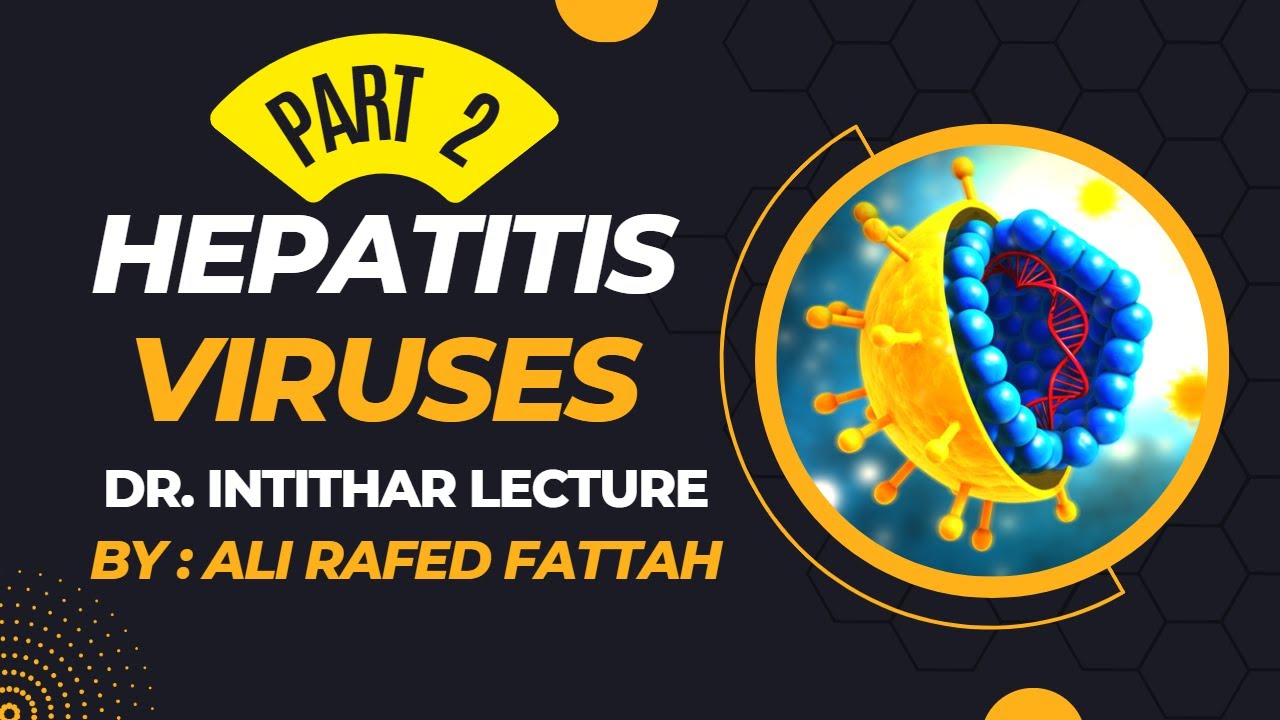 Microbiology | Hepatitis Viruses Part 2 | Dr. Intithar | By Ali Rafed ...