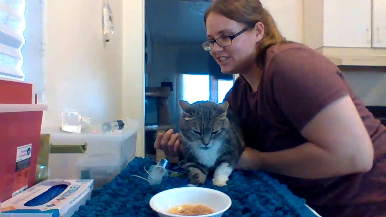 Squirmy Angry Cat SubQ Fluids Attempt - YouTube