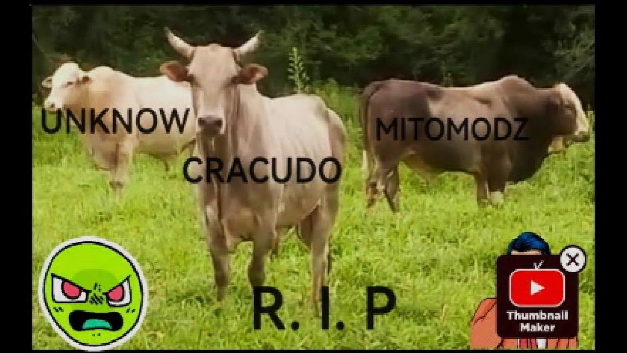 R.I.P 4 HORNS (CRACUDO/MITOCORNO/UNKNOW/JUNQUIA) - YouTube