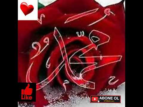 HASRET(ALEMLERİN EFENDİSİNE) ❤️🌹