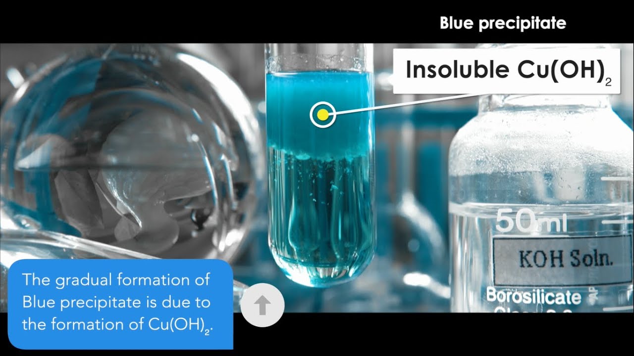Does Potassium Hydroxide Koh And Copper Nitrate Cu No3 2 Form A