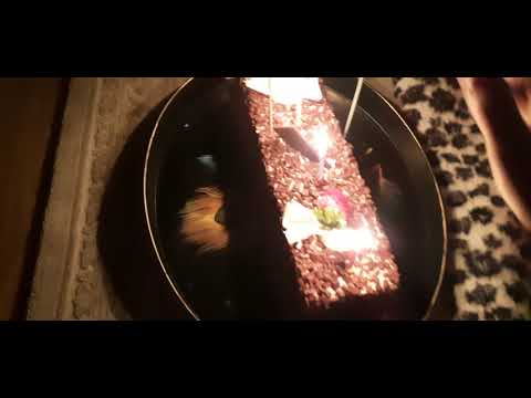 iyi ki Doğdun Taha 🥰 Doğum Gününe Az Kala 🤩 Her Pasta Doğum Günüymüş Gibidir Bizim için