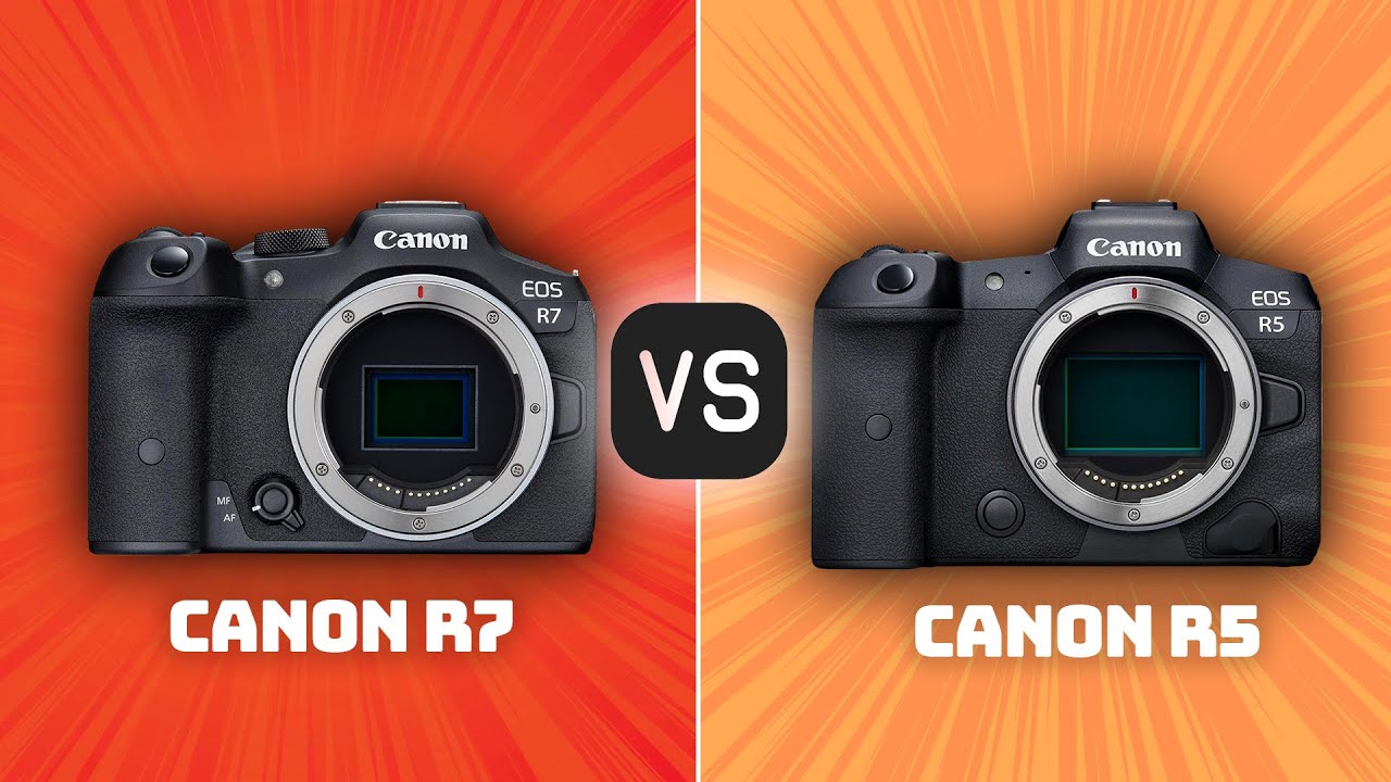 Canon R7 vs Canon R5: Which Camera Is Better? (With Ratings & Sample ...