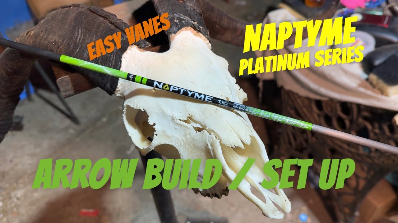 Arrow build/ set up- Naptyme platinum series, easy vanes - YouTube