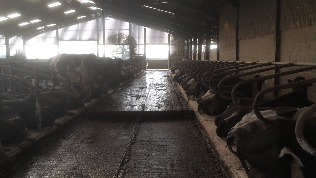 Manure Farm Spinder Scraper - Barn Equipment - YouTube