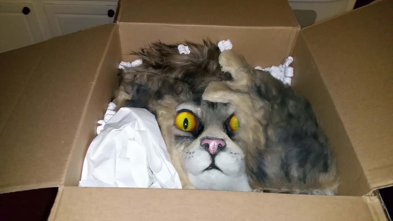Scary Creepy Cat Head In A Box That Always Watches You - YouTube