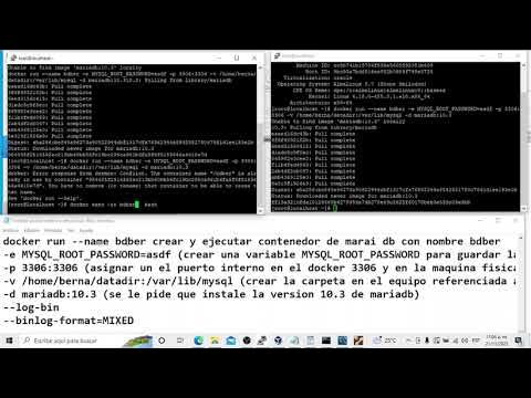 Instalación del Docker de Mariadb y conexión con Workbench - YouTube