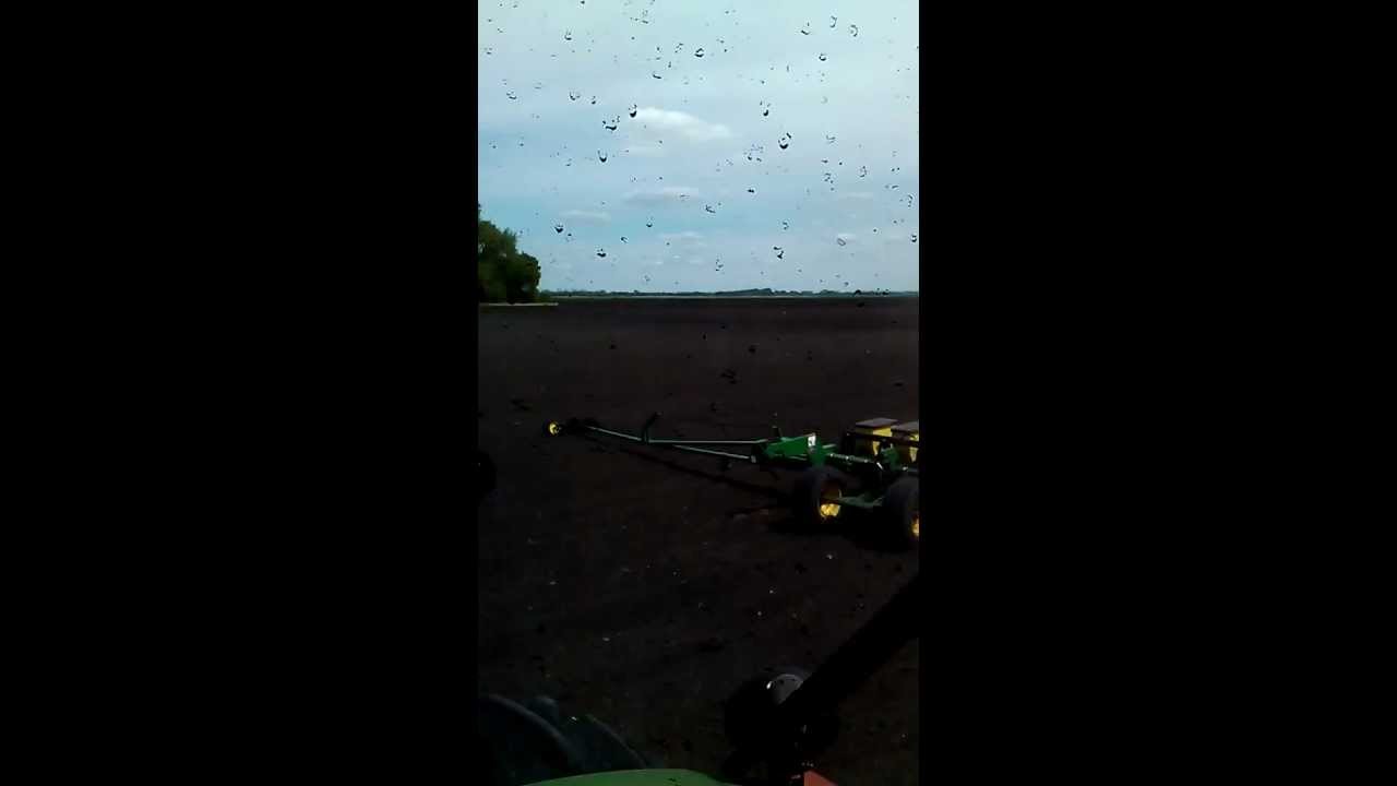 Planting Navy Beans - YouTube