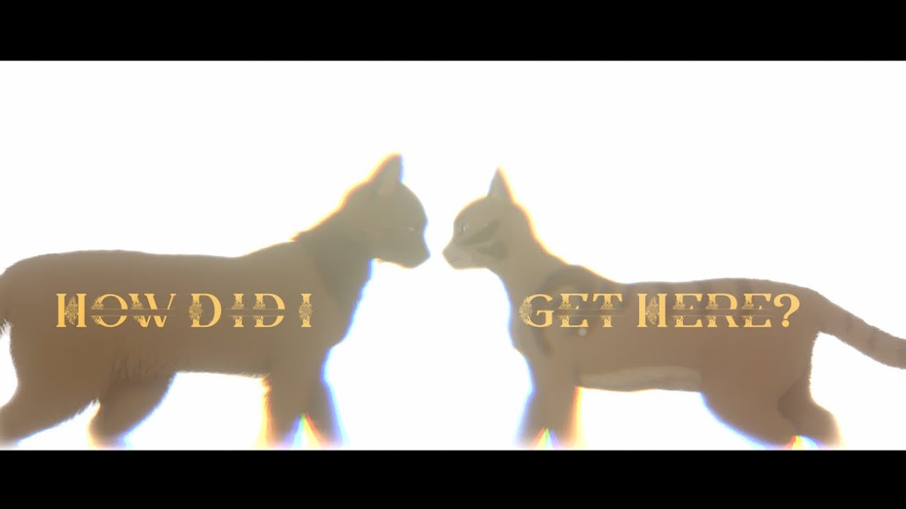 How Did I Get Here? | 3D Animation Meme | Dirtyfoot & Littlefang - YouTube