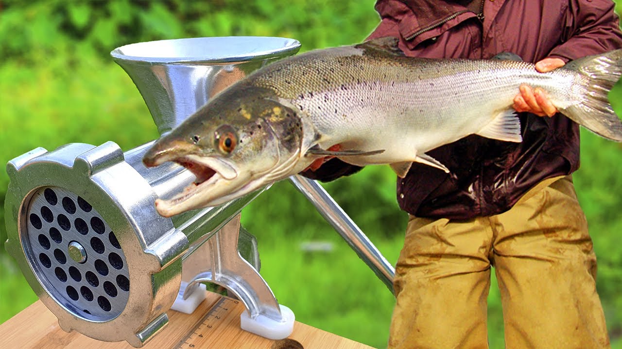 Experiment: Meat Grinder vs Salmon Fish - YouTube