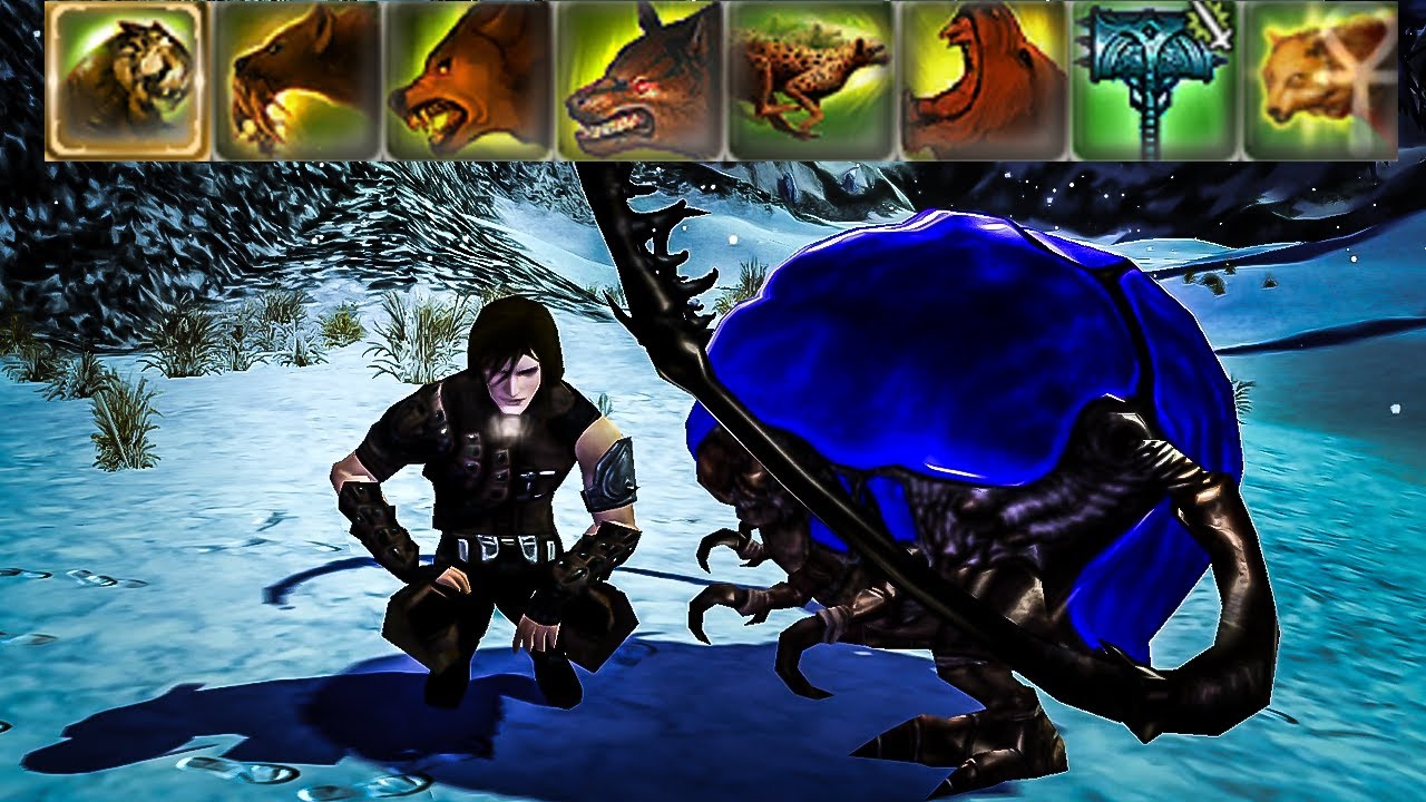 Builds Explained - R/Any Beastmaster [Guild Wars] - YouTube