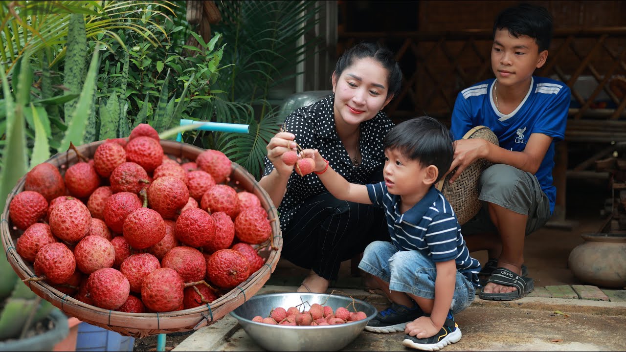 Fresh and Sweet Lychee Blending: Peel Lychee for Juice | Lychee ...