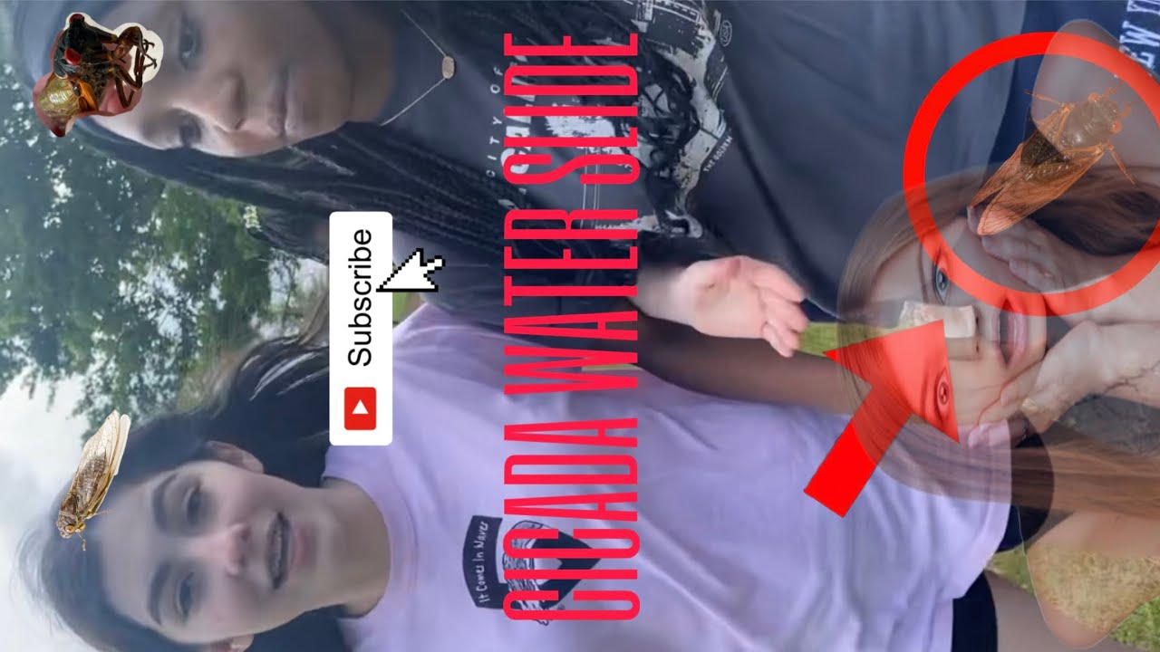 CICADA WATER SLIDE - YouTube