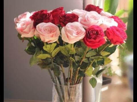 Si mund t’ju qëndrojnë më gjatë lulet të freskëta