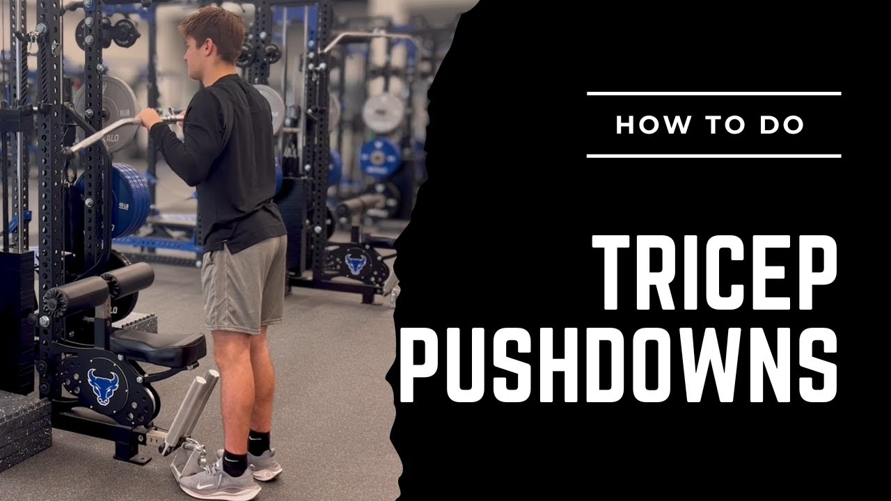 Tricep Pushdowns (Exercise Library) - YouTube