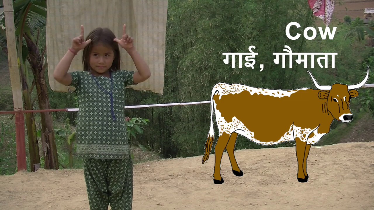 Learn How To Sign Different Animals In Nepali Sign Language | Deafway ...