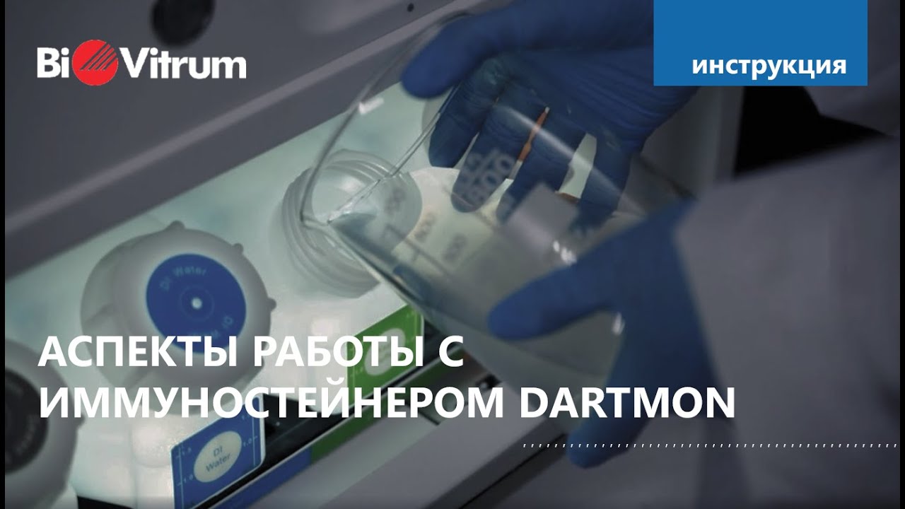 Аспекты работы с иммуностейнером DARTMON - YouTube