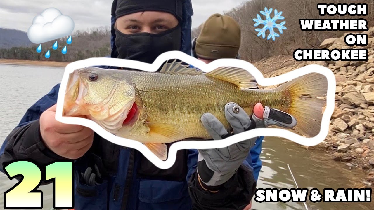 WINTER BASS FISHING WITH TOUGH WEATHER ON CHEROKEE LAKE - Ep 21 - YouTube