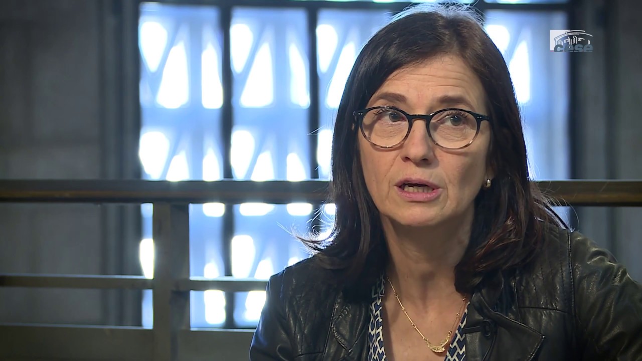 Questions à Nadine LEVRATTO (Economiste) - TPE-PME - cese - YouTube