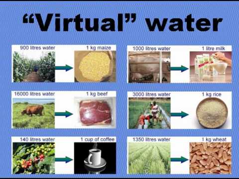 Waterwater reuse in Agriculture 1 - crop irrigation - YouTube