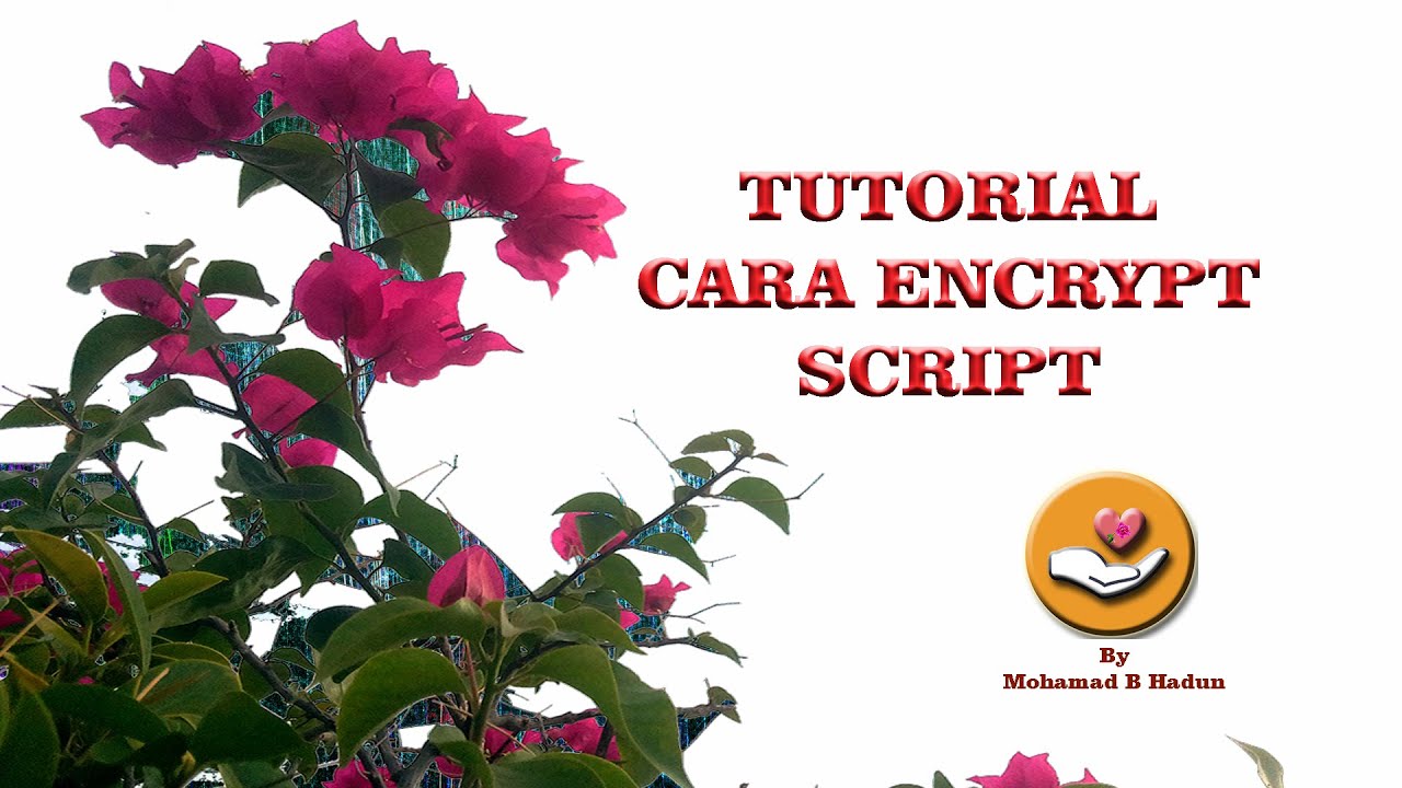 Tutorial Cara Encrypt Script Youtube 8353